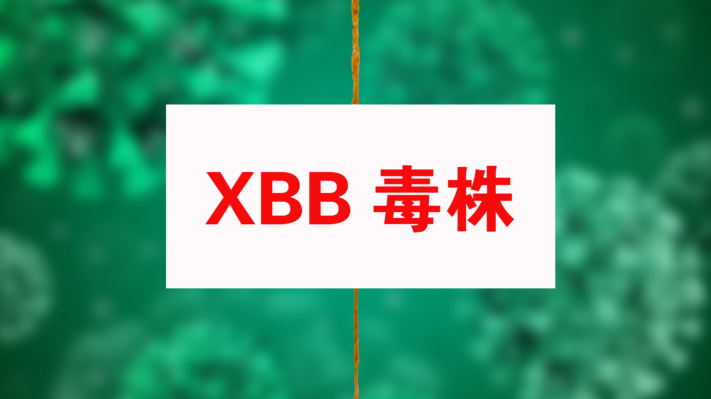 中国疾控中心：短期内XBB系列变异株引发大规模流行的可能性低_北京时间
