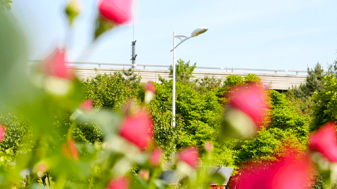 顺义这一年丨好环境成为市民可感可及的幸福_北京时间